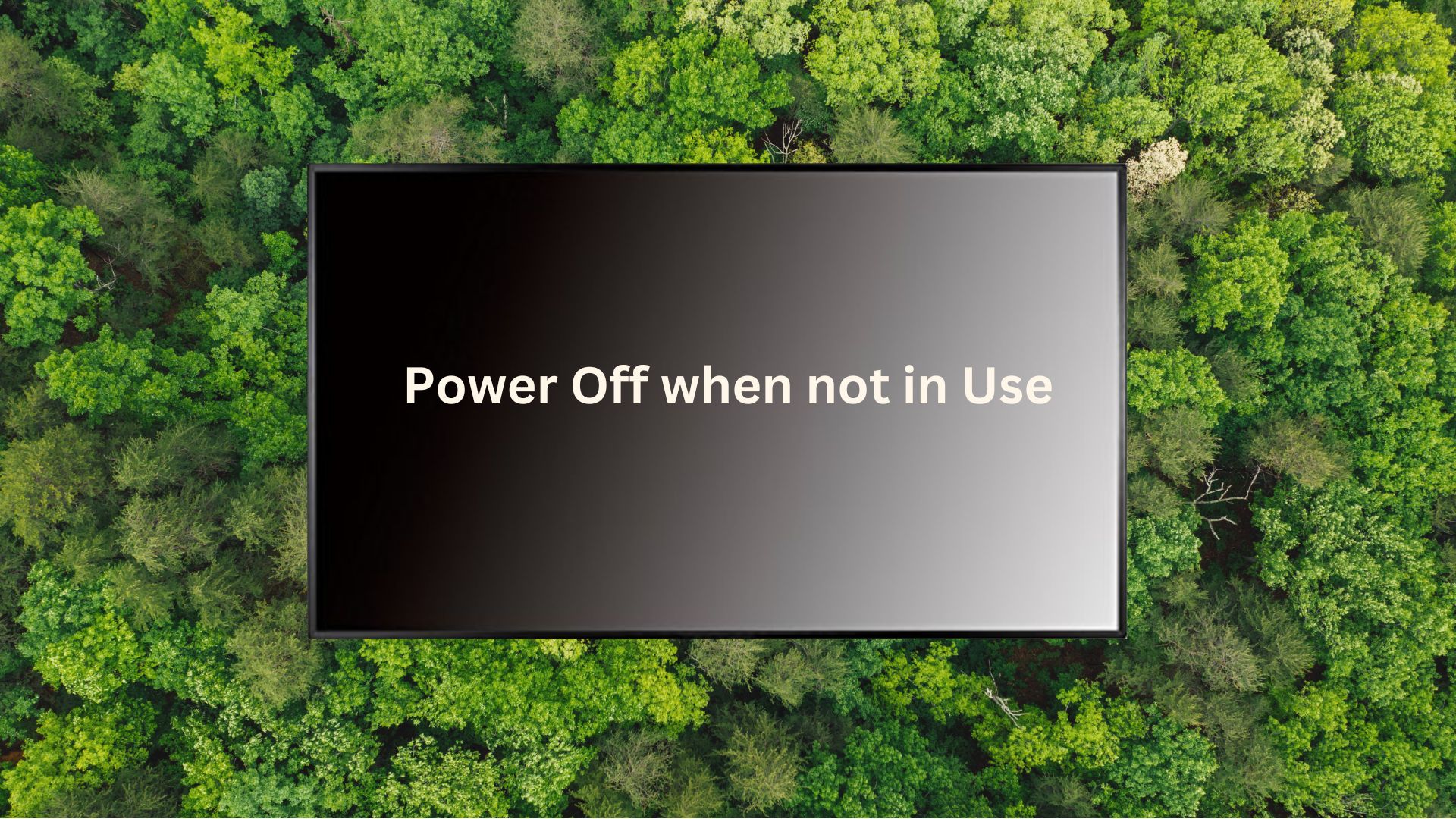 Can a CMS Make Digital Signages Greener? - Zeetaminds Blogs